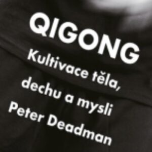 Alef Nula – literární kovárna